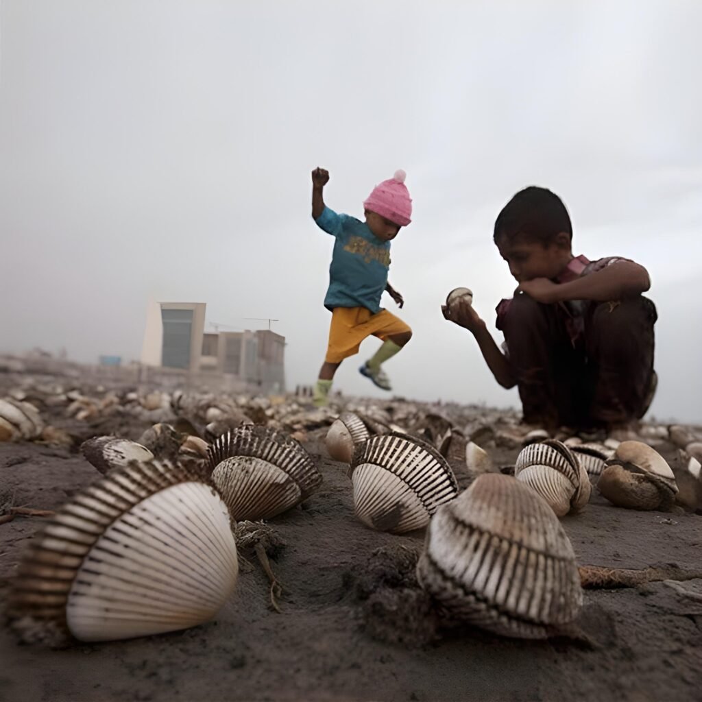 Karachi's Coastal Treasure! Sea spills out colorful shells — - InShort News